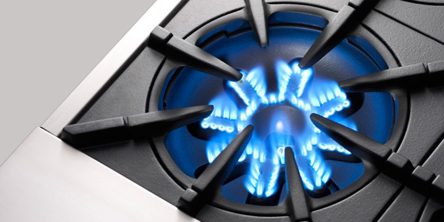 Best BlueStar Professional Ranges for 2024 (Reviews / Ratings)