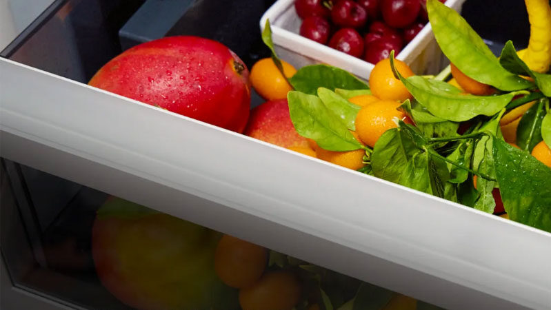 Thermador Professional Refrigerators Review: Are They Worth the Hype?