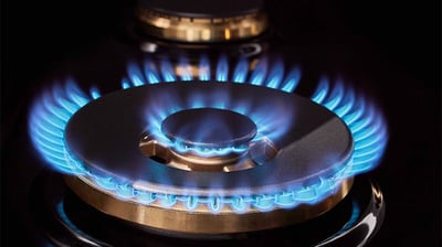 Signature Kitchen Suite Professional Gas Range Review